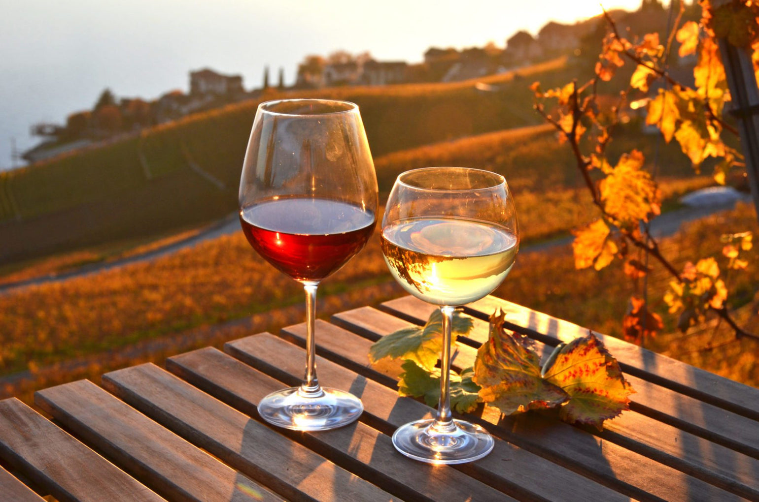 Best Fall Wines: The Best Wines To Try This Autumn